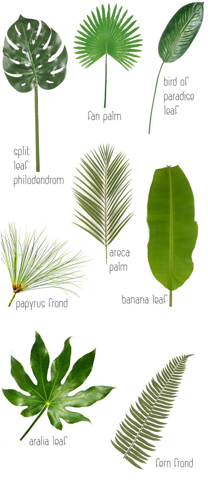 Home Decor Ideas Use Tropical Leaves Home Decor Ideas Use Tropical Leaves